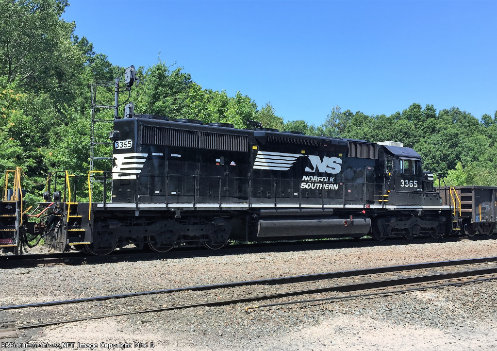 NS 3365